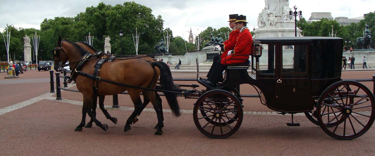 Kusk » Yrken » Framtid.se